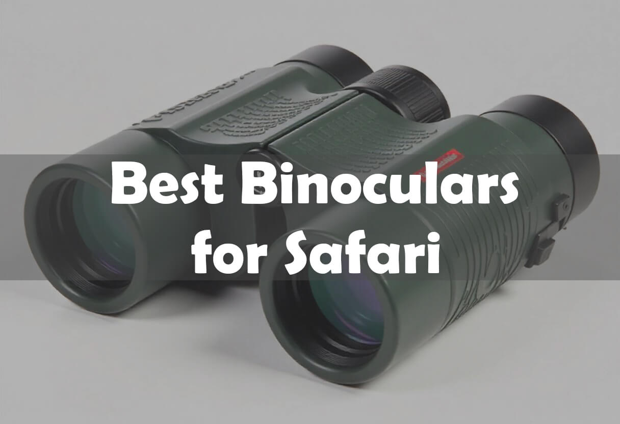 The 10 Best Binoculars for Safari of 2026