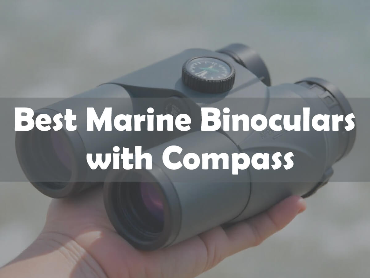 The 7 Best Marine Binoculars with Compass of 2025